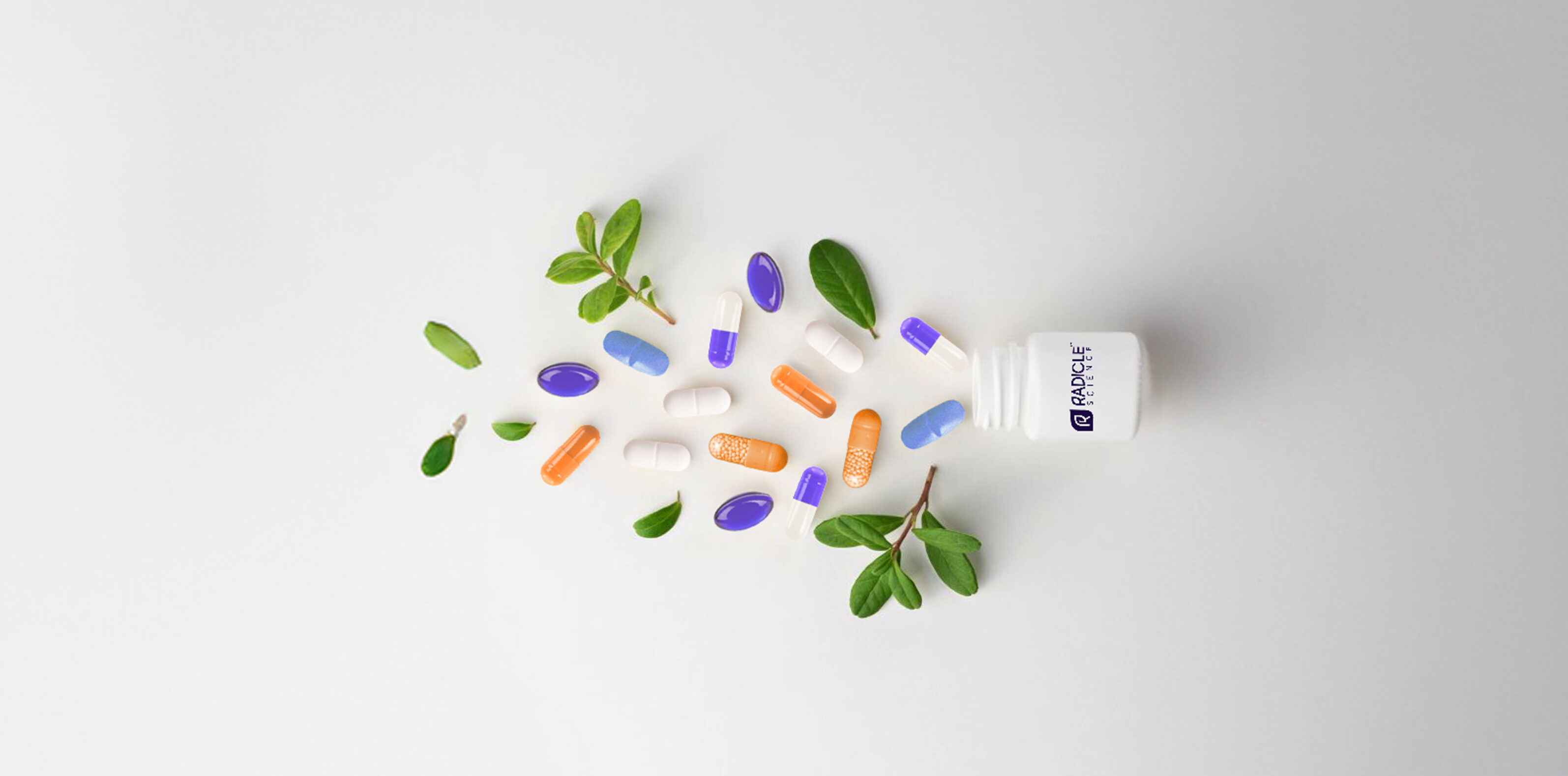 Radicle Science | Radicle Results